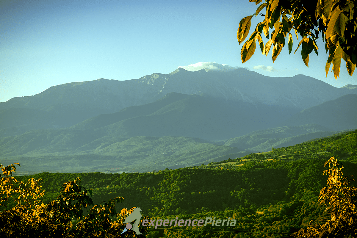 The Truth About Hike Mount Olympus Everyone Should Know: A Guide for ...